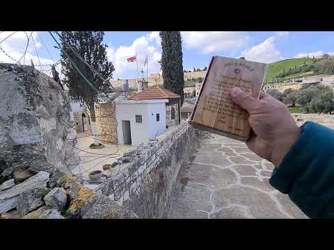 Informative tour of Gethsemane, Jerusalem (including a visit to the non-touristy places)