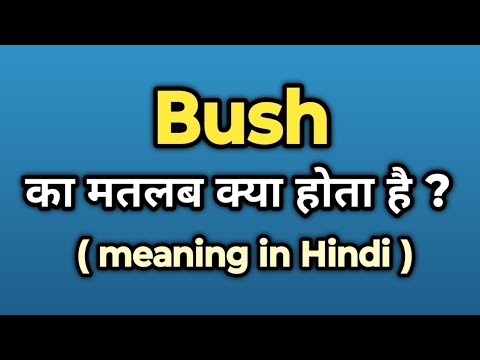 Bush Meaning in Hindi || Bush Ka Kya Matlab Hota Hai | Words Tube