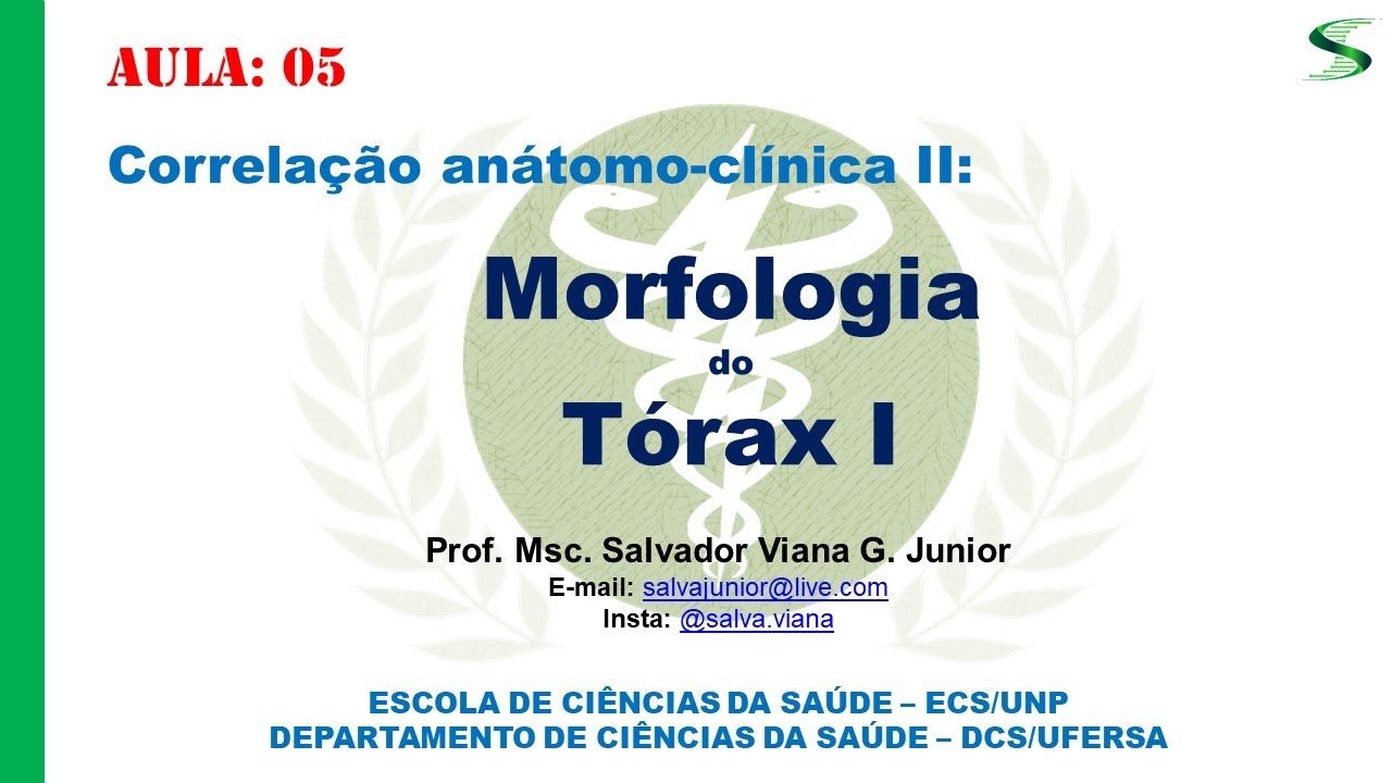 Morfologia do Tórax I (1/2)