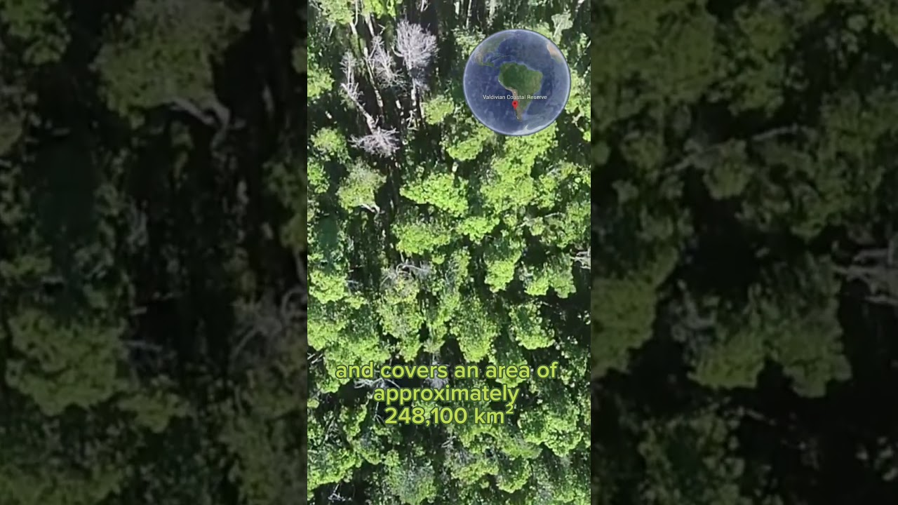 Top 5 Biggest Forests in the World | #forests #nature #conservation #ecology #wildlife #Amazon