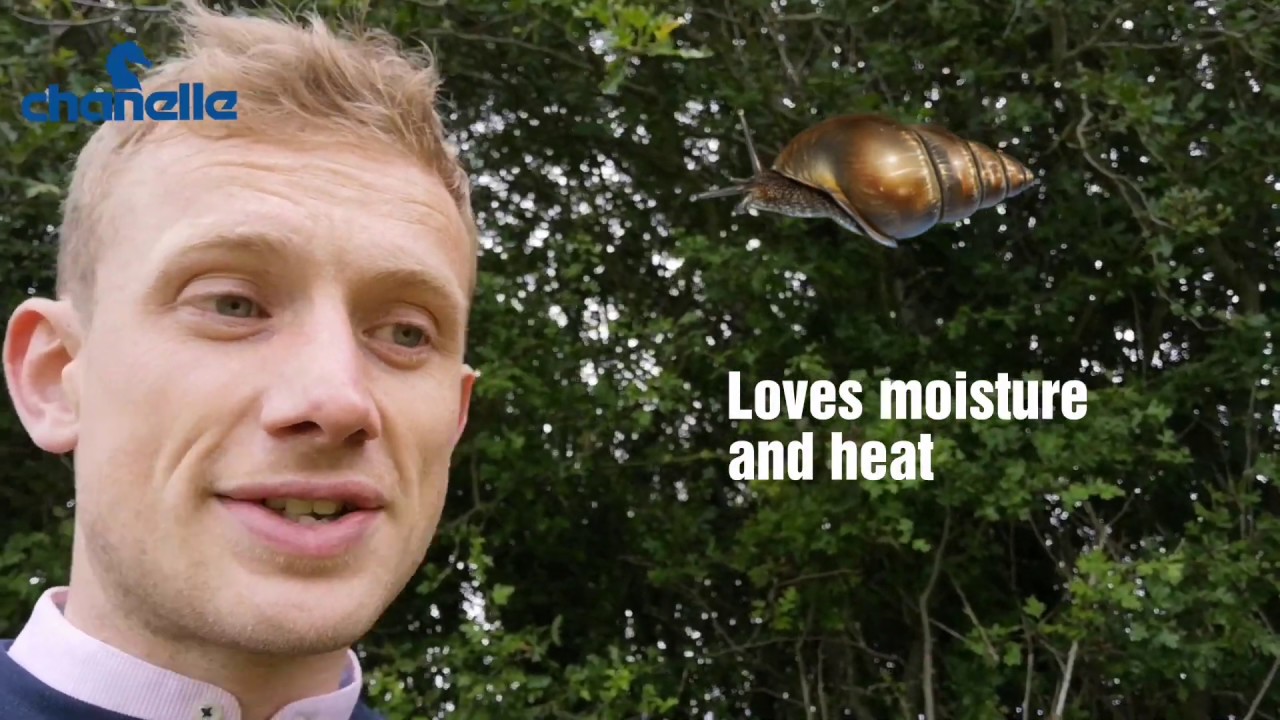 Video | The Origins of a 'Flukey' Year | Farm Health First