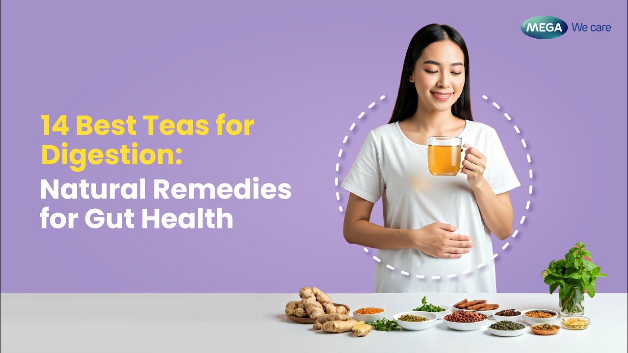 14 Best Teas for Digestion | Natural Remedies for Gut Health