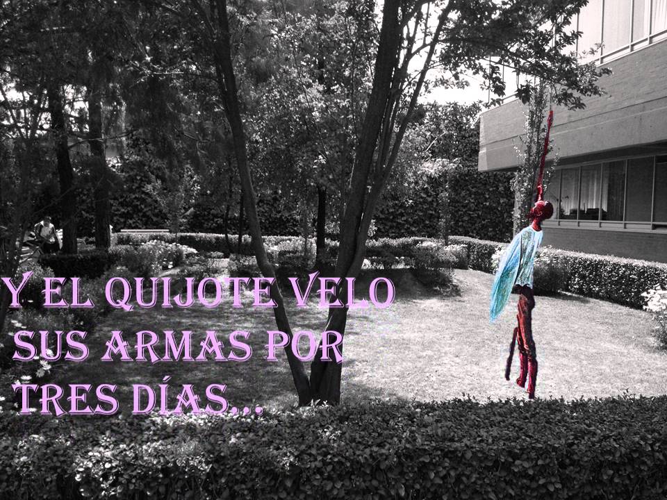 quijote del INEDIB
