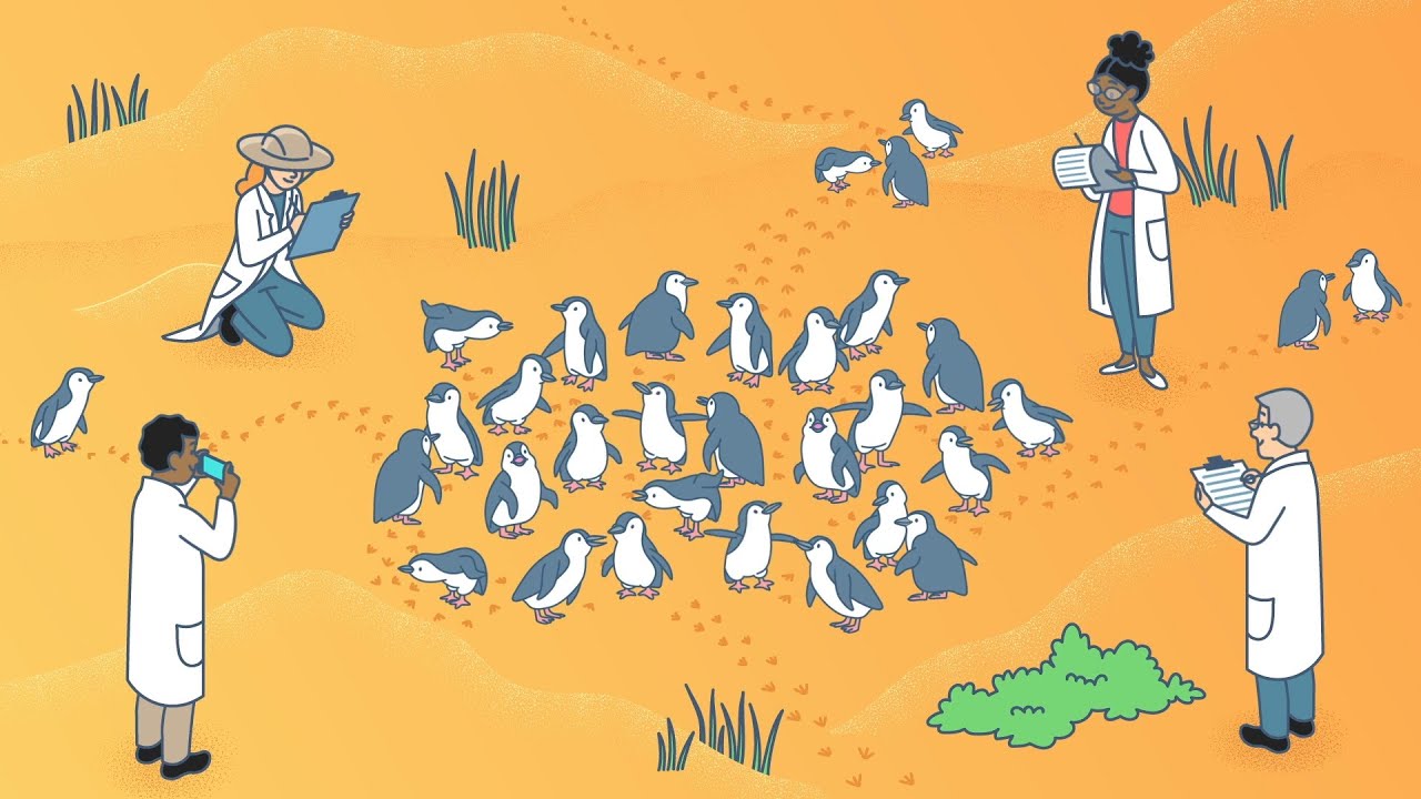 BitMaths Teaching Video: Population census and sample