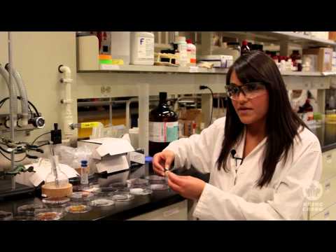 NSERC Presents 2 Minutes With Talena Rambarran