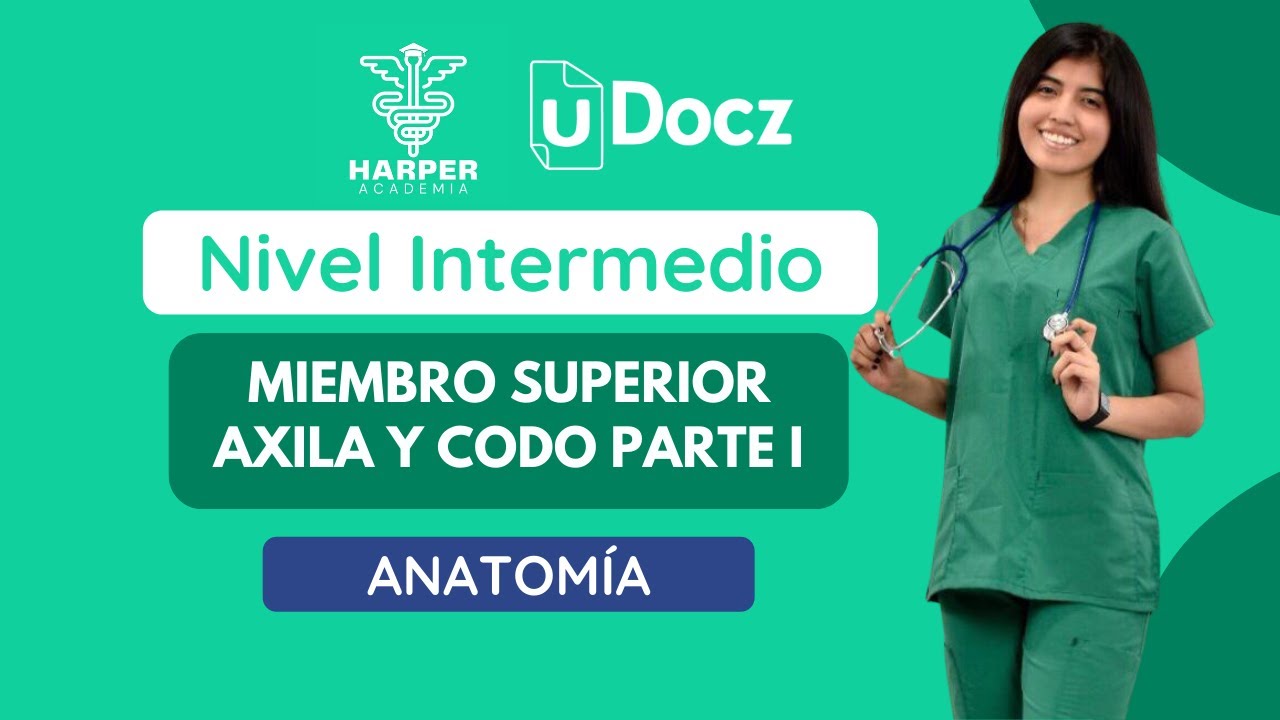 Miembro superior axila y codo Parte 1 con Harper Academia & uDocz  📚| Nivel Intermedio