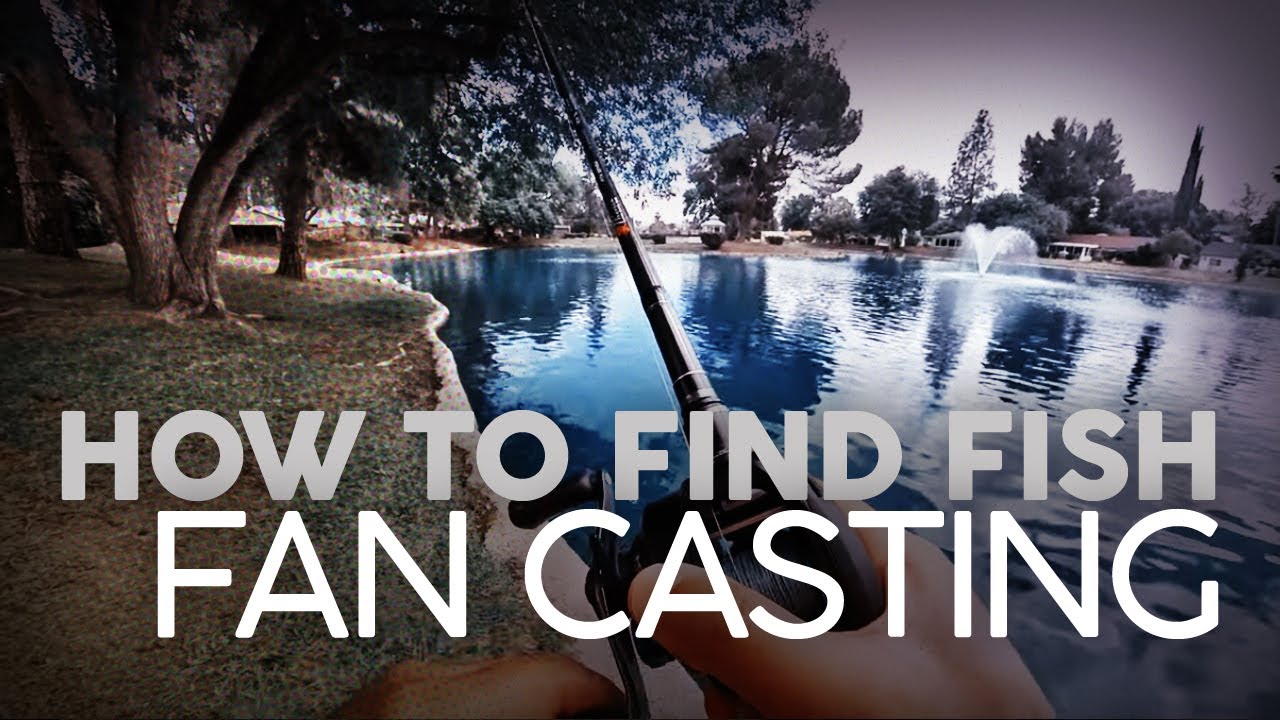 Beginner Bass Fishing: How to Work a Bank Using Fan Casting
