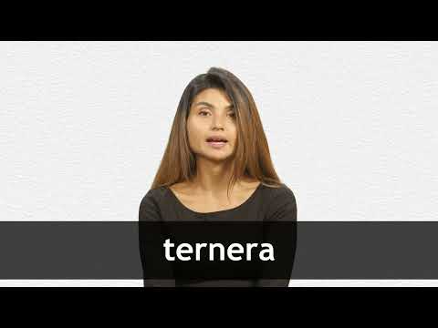 English Translation of “TERNERA” | Collins Spanish-English Dictionary