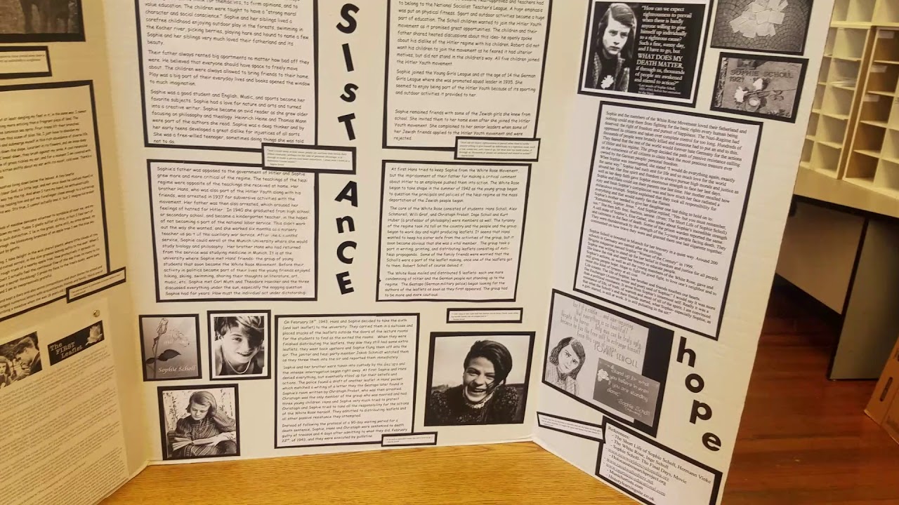 A grade Trifold Board Examples