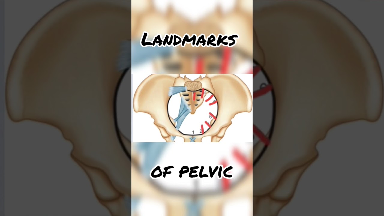 Landmarks of pelvic ... for full class visit my channel...#obg #unit2 #landmarks#bscnursing #nmsquad