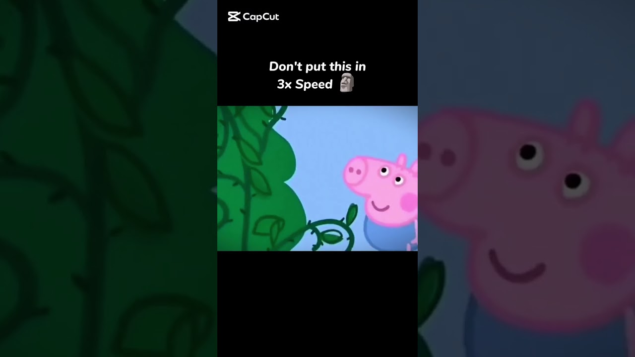 UMMMM OK