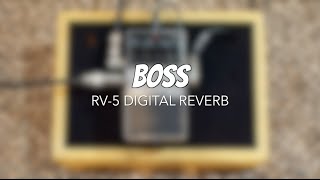 Boss RV-5 Digital Reverb - What To Know & Where To Buy | Equipboard