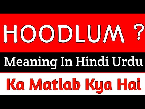 Hoodlum Meaning | Hoodlum Meaning in Hindi/Urdu | Hoodlum Ka Matlab Kya Hota Hai / Hoodlum Ka Arth