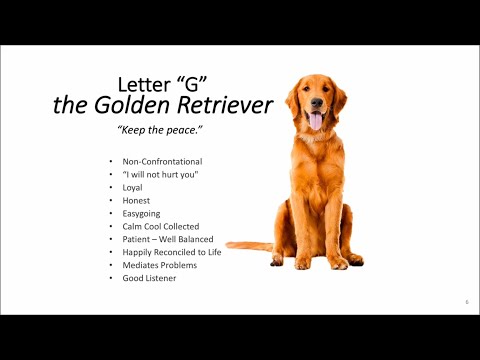 The 4 Personality Animals: The Golden Retriever