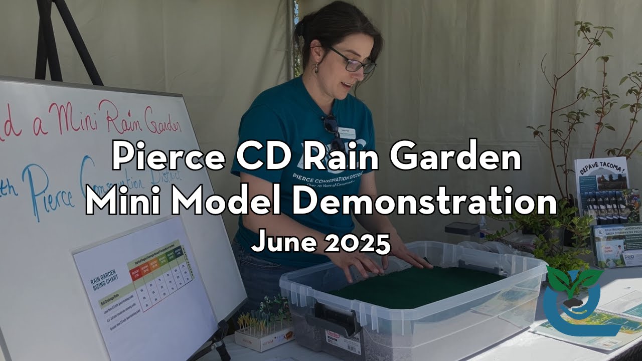 Pierce CD Rain Garden Mini Model Demonstration
