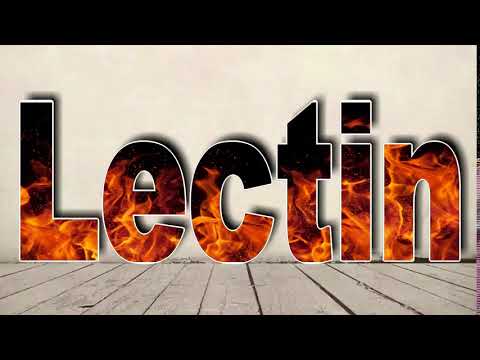 How to Pronounce Lectin
