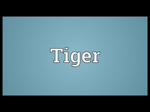 Tiger Meaning