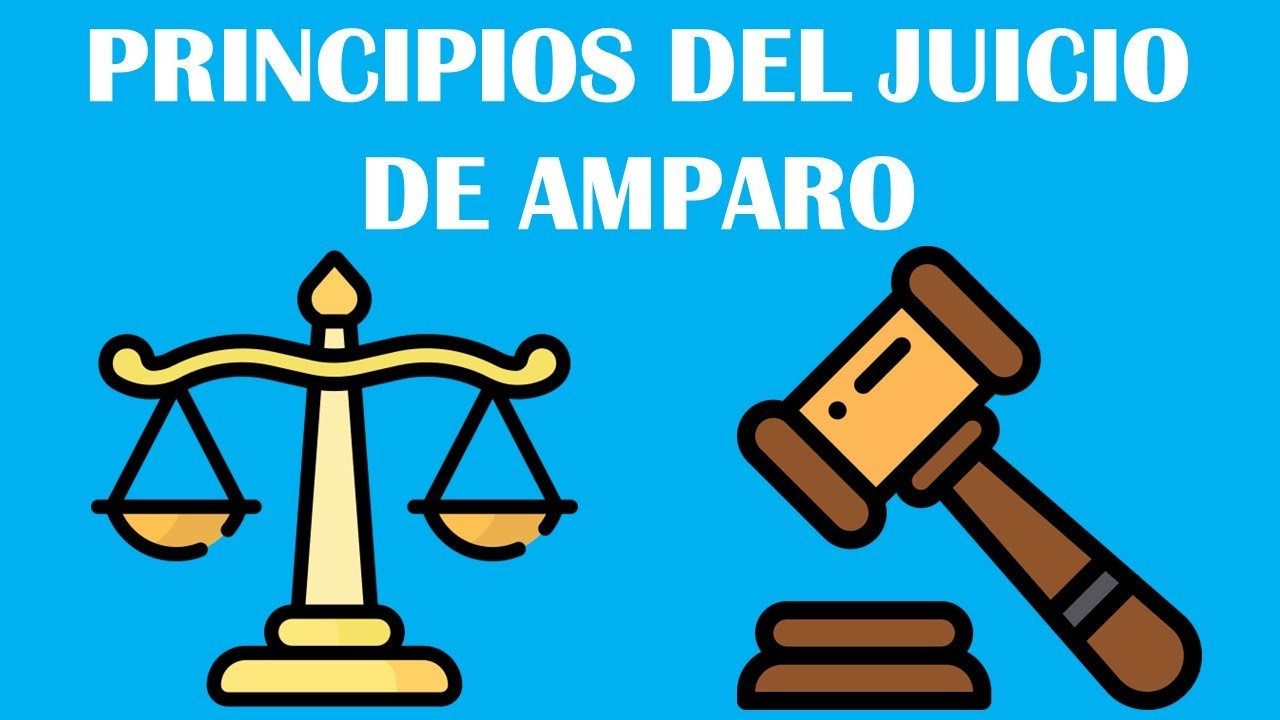 PRINCIPIOS DEL JUICIO DE AMPARO