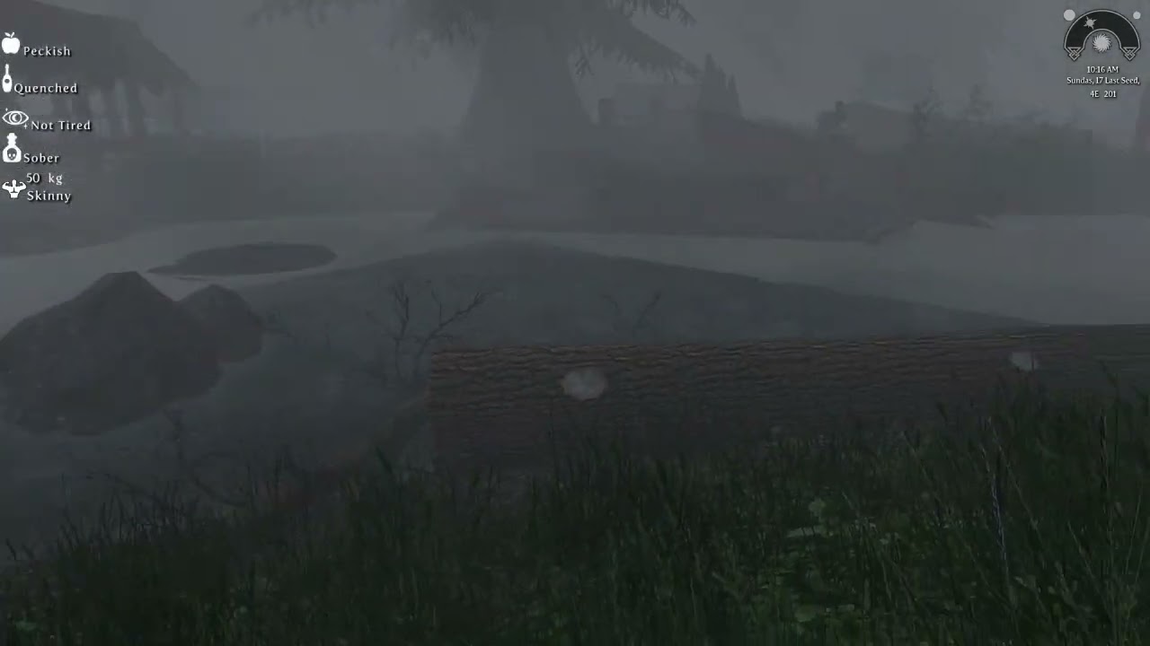 Water Mesh Optimization