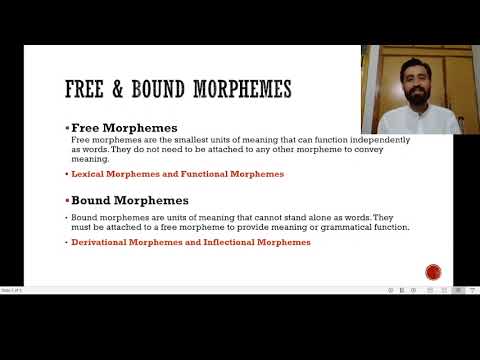 Difference between Free & Bound Morphemes! #morphologyy #morpheme #freemorpheme #boumdmorpheme