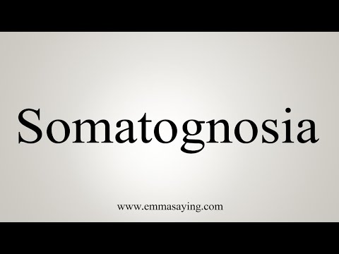 How To Say Somatognosia