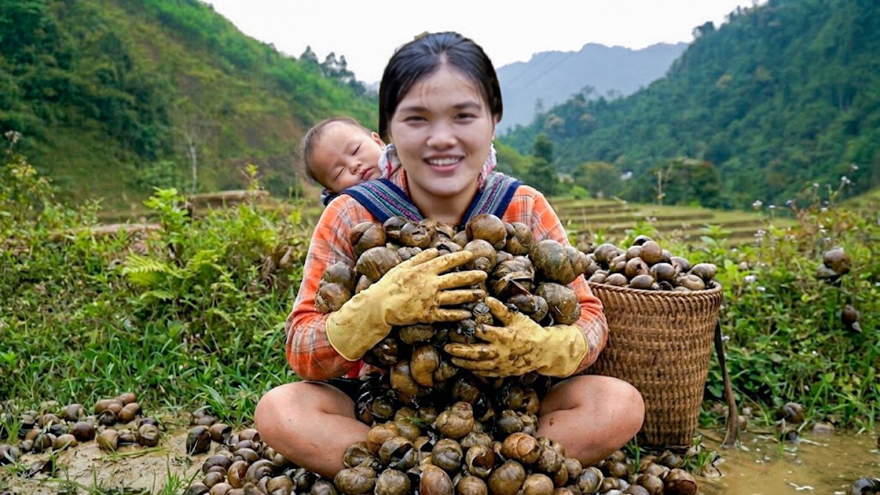 Single Mother's Hard Rural Life - Harvesting Rock Snails to Raise Child and Run Farm Alone