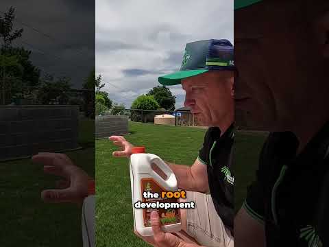 Lawn Kelper The Aussie Lawn