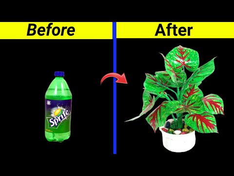DIY Nice leaves/Artificial Plant For Home Decoration | Leaves Making With Plastic Bottle | Ep:34 |