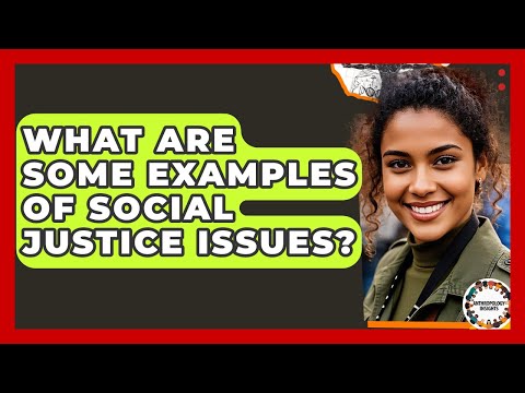 What Are Some Examples Of Social Justice Issues? - Anthropology Insights