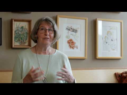 Urban Ecology - A History