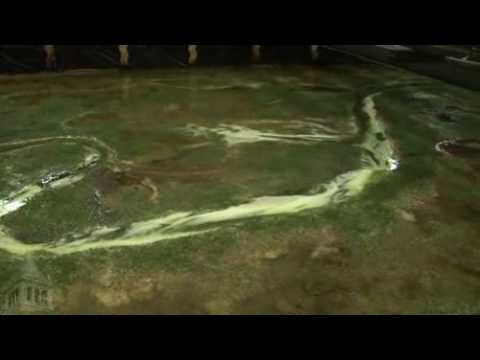 UC Berkeley Researchers create Meandering River in Lab