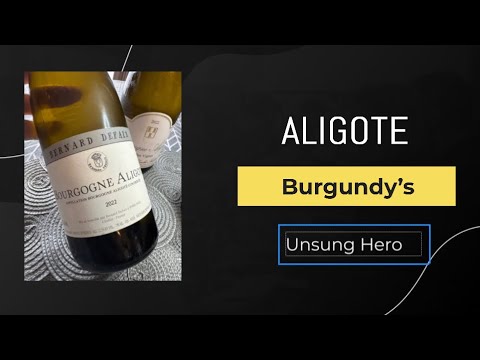 The Ideal Summertime Wine
