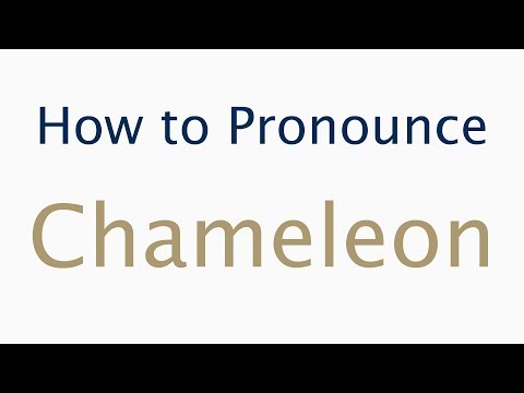 How to Pronounce Chameleon