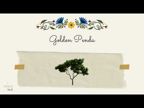 Real Tree Cliparts - golden penda - photoshop overlays png, Tree layout, transparent background