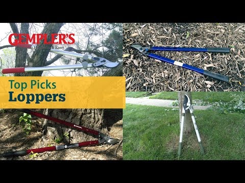 Choosing the Best Tree Loppers – The Climbing Dutchman