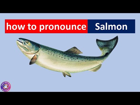 How to Pronounce Salmon? (CORRECTLY) | SEH-M'N Pronunciation