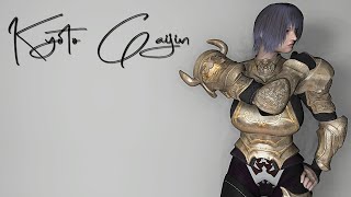 AH Half Plate Mail at Skyrim Special Edition Nexus - Mods and Community