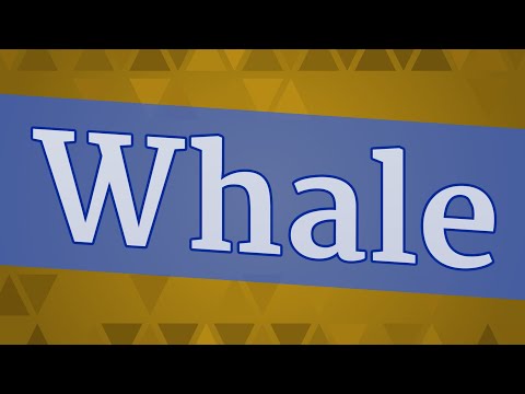 WHALE pronunciation • How to pronounce WHALE
