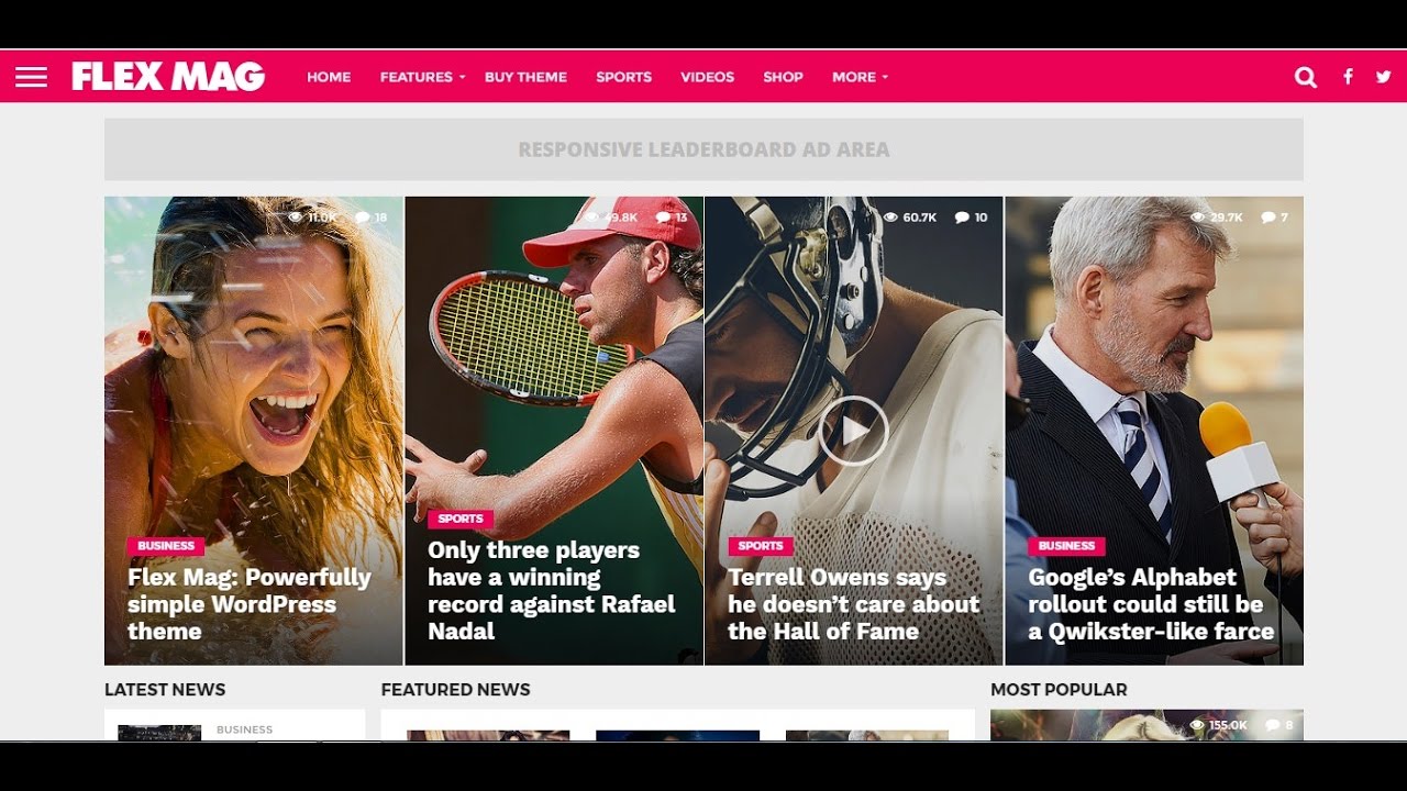 Theme Options -  Flex Mag  | Wordpress Theme Documentation