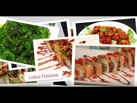 Lotus Fusion_TOP 17