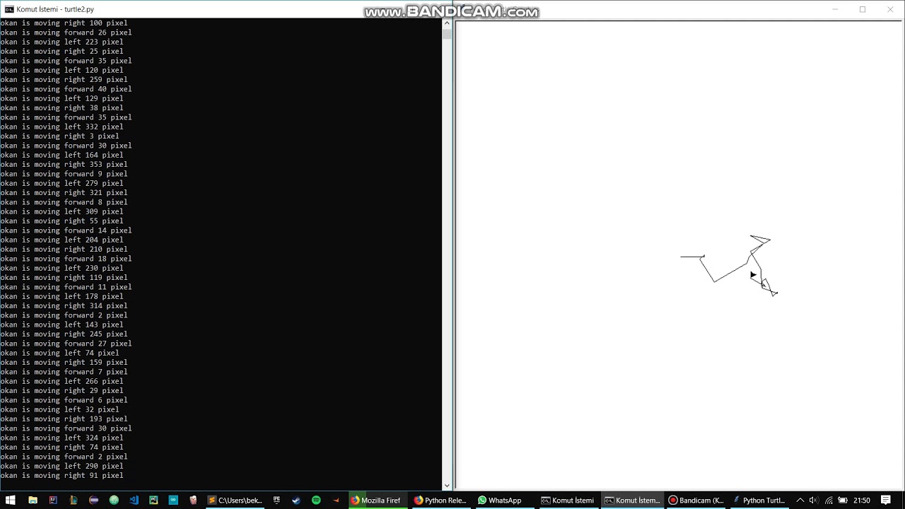 randomly moving point - simple python program