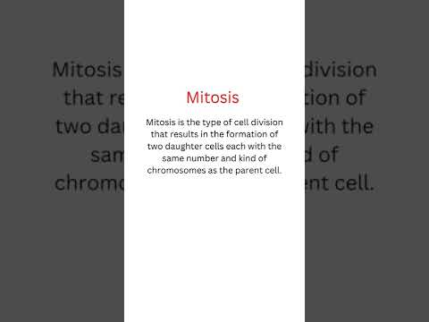 what is mitosis?#mitosis #biology #zoology #botany #science #sciencefacts #biologyclass12