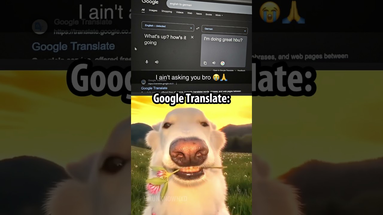 Google translate is too nice 🥰