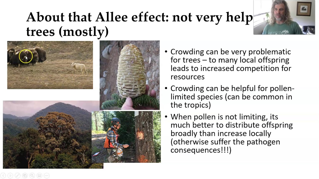 6.2 - Population dynamics examples -  Logistic growth