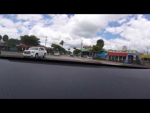 Siesta Key 040620