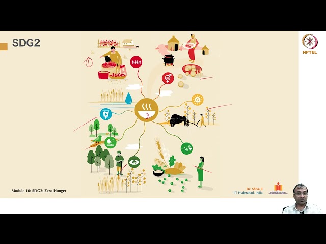 Understanding SDG 2: Zero Hunger - Challenges and Solutions | Galaxy