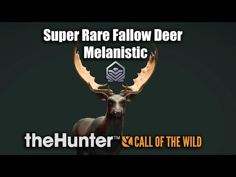 Steam Community :: Video :: Super Rare - Diamond Melanistic Fallow Deer ...