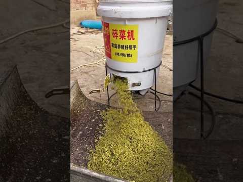 Make a Food Waste Shredder from Household Items