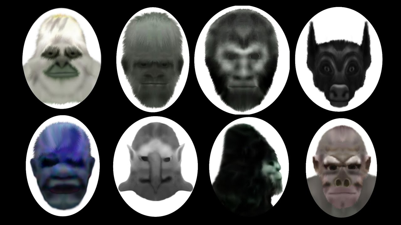 Sasquatch and Other Cryptids are All in the Same Box