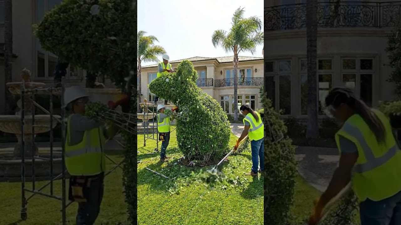 i built a topiary rat bigger than my car #gardening #satisfying